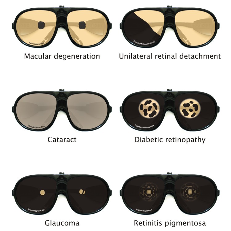 Age Simulation Suit GERT Simulation Glasses